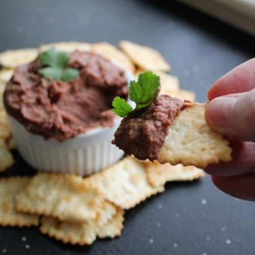 Tangy Black Bean Dip – My Recipe Reviews